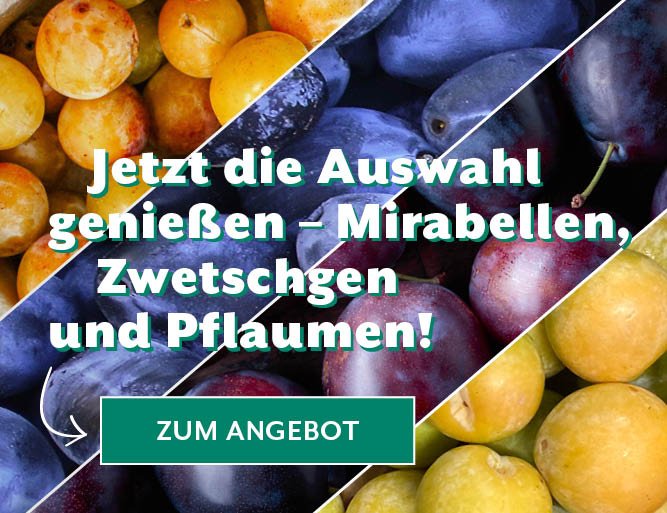 NOVUM – Das Bio-Obst- und Gemüseabo | NOVUM – Der Bio-Lieferservice